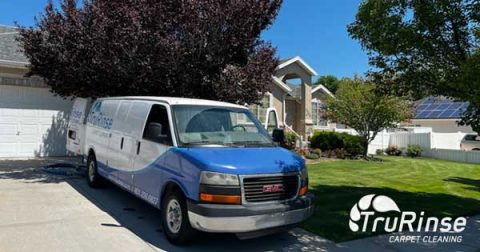 The Difference Between a Professional and a True Professional - TruRinse®